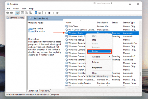 Fix External Speakers not Working in Windows 11 (Solved!)